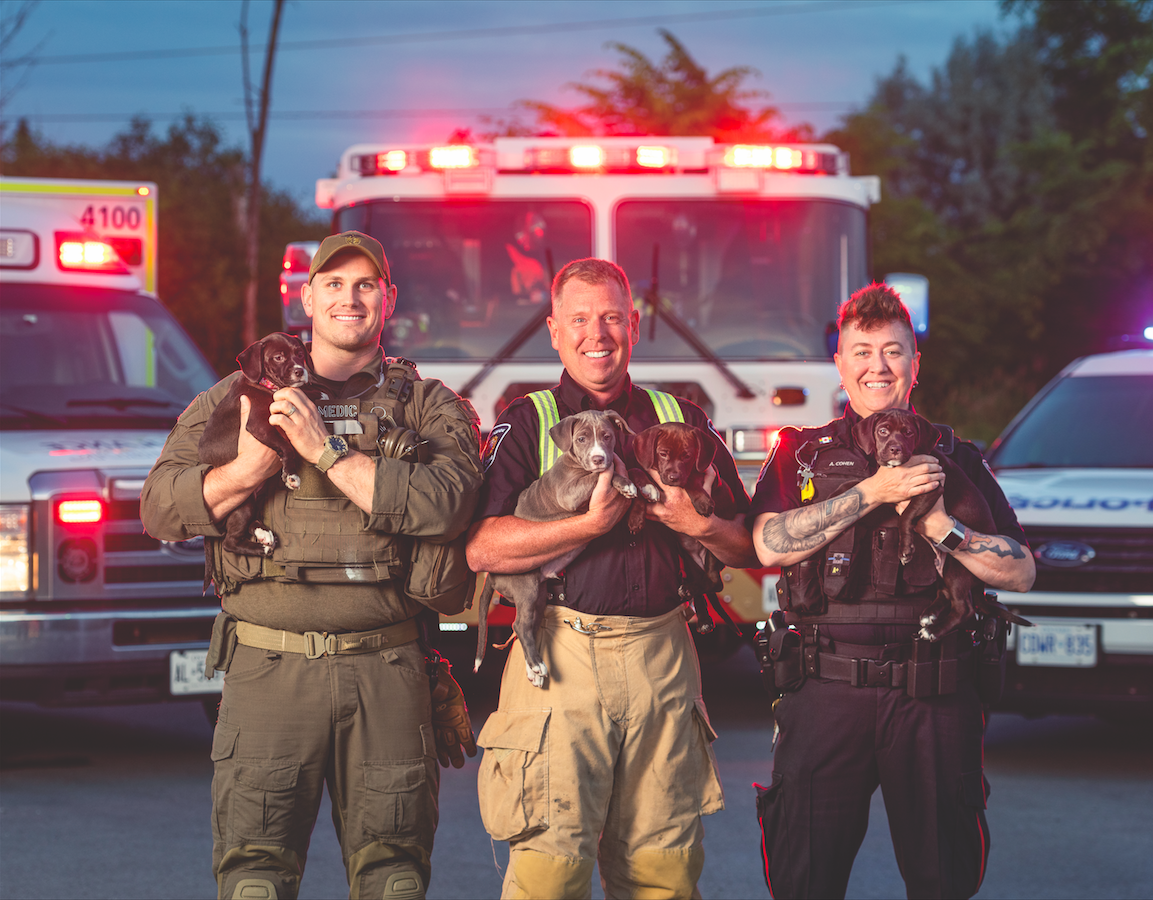Sit With Me Shelter Dog Rescue Partners With Ottawa's First Responders ...
