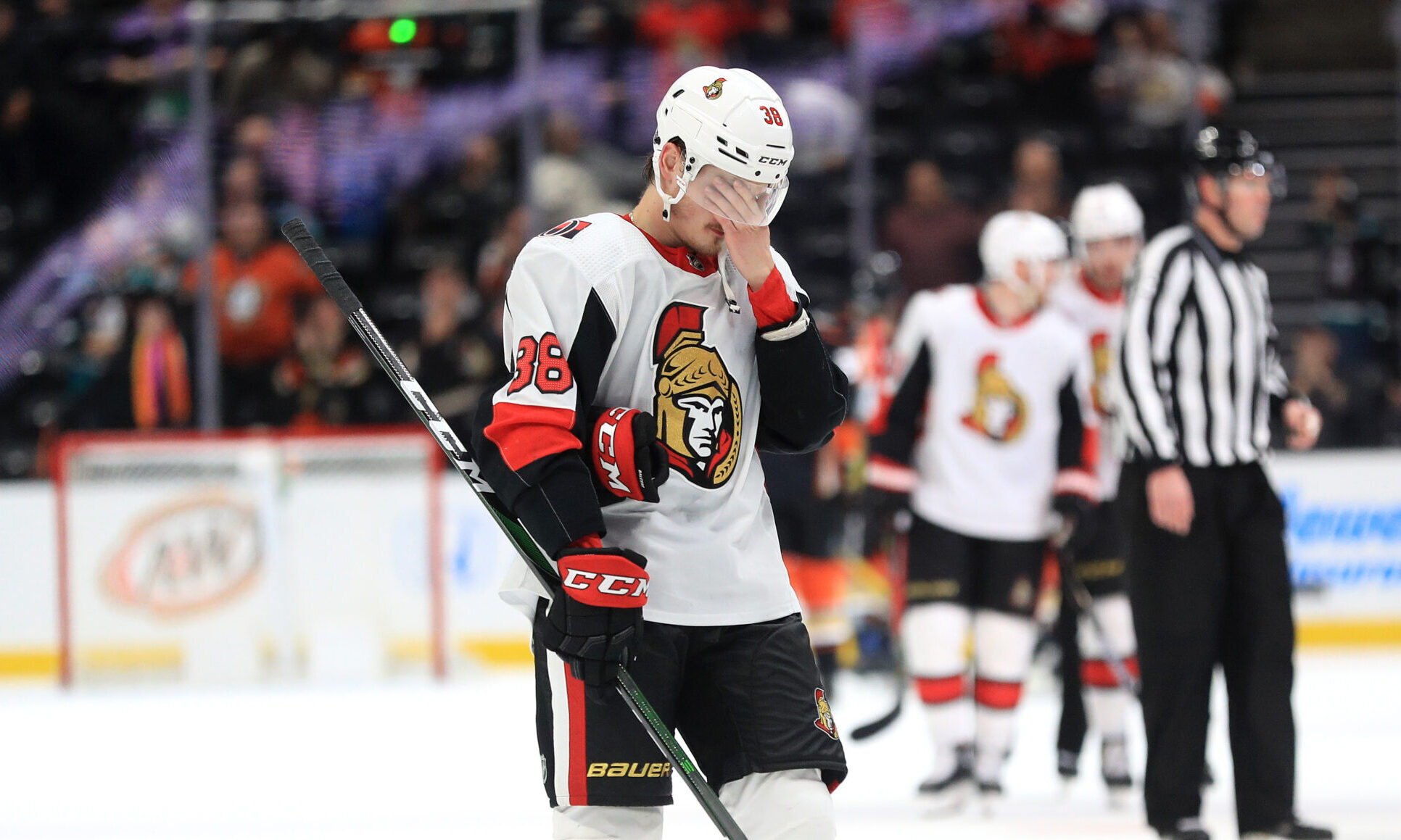 Ottawa Senators: When Will This Incessant Off-Season Finally Come to an ...