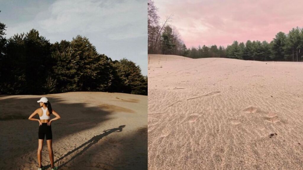 Ottawa's Hidden Sand Dunes In Pinhey Forest