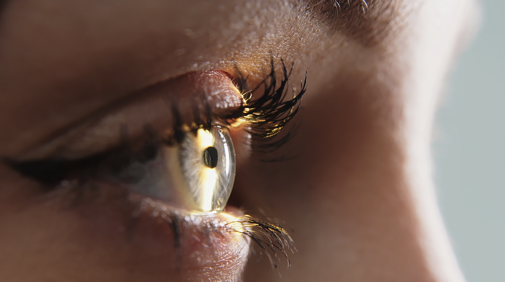 Meet The Leading Experts at the Helm of Nuvo Eye Centre’s Vision ...